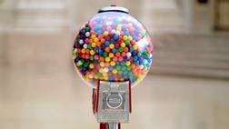 Films Media Group - Common Sense: Brain Games (Season 5)