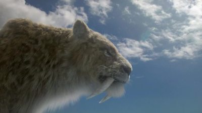 Frozen Saber Tooth Tiger Found