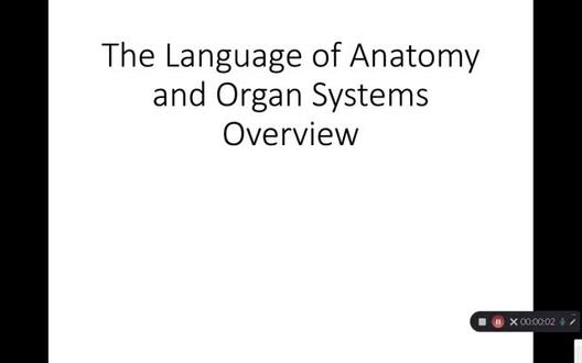 Language of Anatomy and Organ Systems