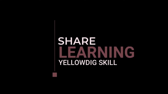 Introduction Yellowdig Skills