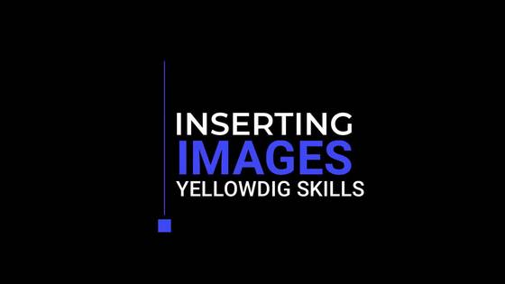 Insert Images Yellowdig Skills