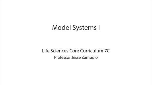 Model Systems I