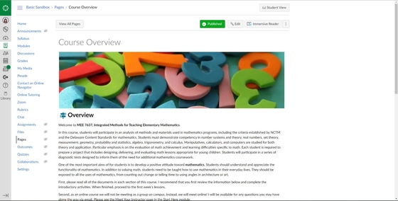 Immersive Reader in Canvas
