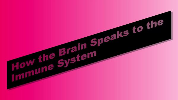 Health Module 5 Seg 7. How the brain speaks to the immune system (12 ...