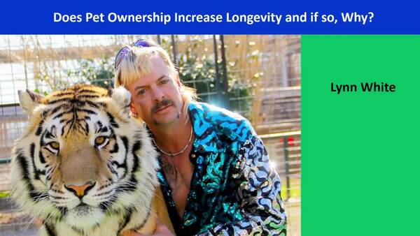 example of a SARA project