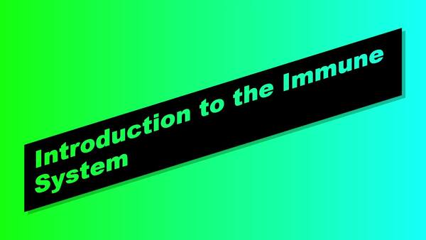 S _ P module 4 seg 11. Introduction to the Immune System (6 min)