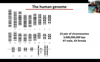 Human Genetic Map