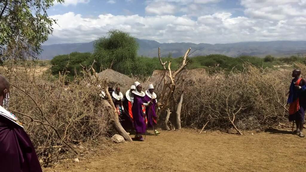 Shima Shahab receives NSF CAREER Award to develop innovative methods ...