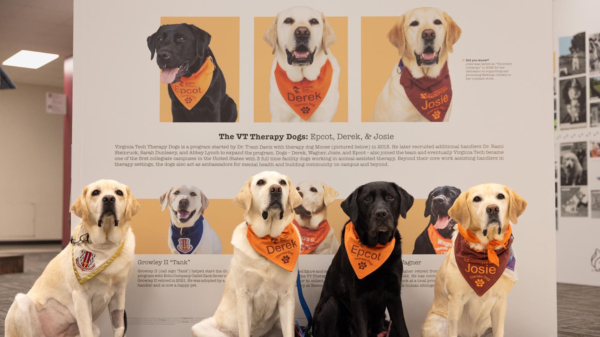 "Good Dogs" exhibit celebrates canine companions | Virginia Tech News ...