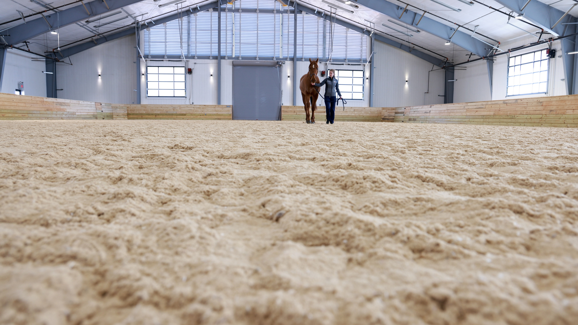 Unbridled excitement in Northern Virginia for new equine performance ...