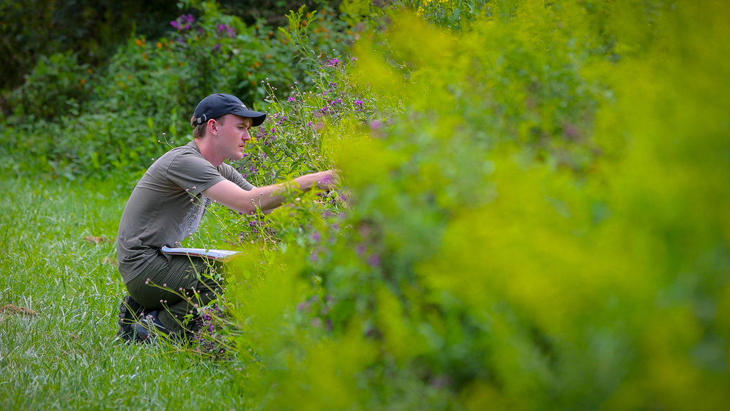 FREC | Forest Resources and Environmental Conservation | Virginia Tech