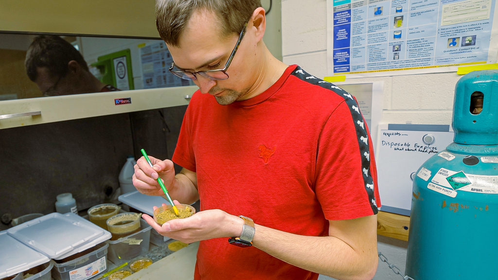 Department of Geosciences | Department of Geosciences | Virginia Tech