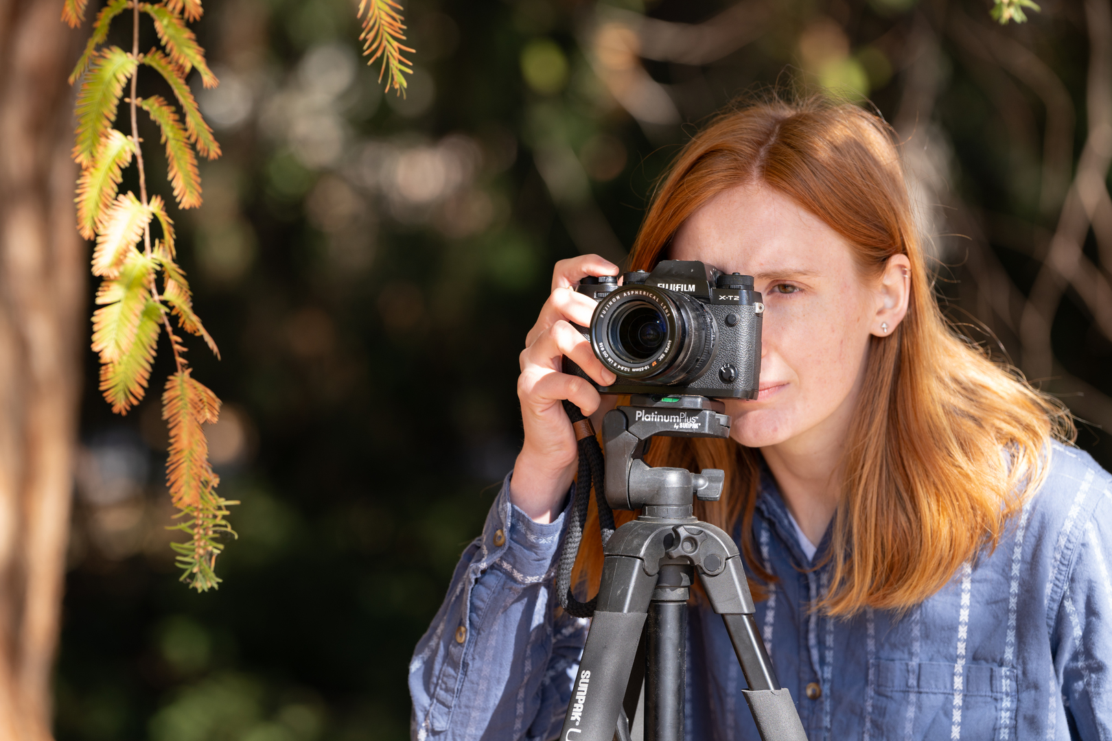 A picturesque approach to conservation | Virginia Tech News | Virginia Tech