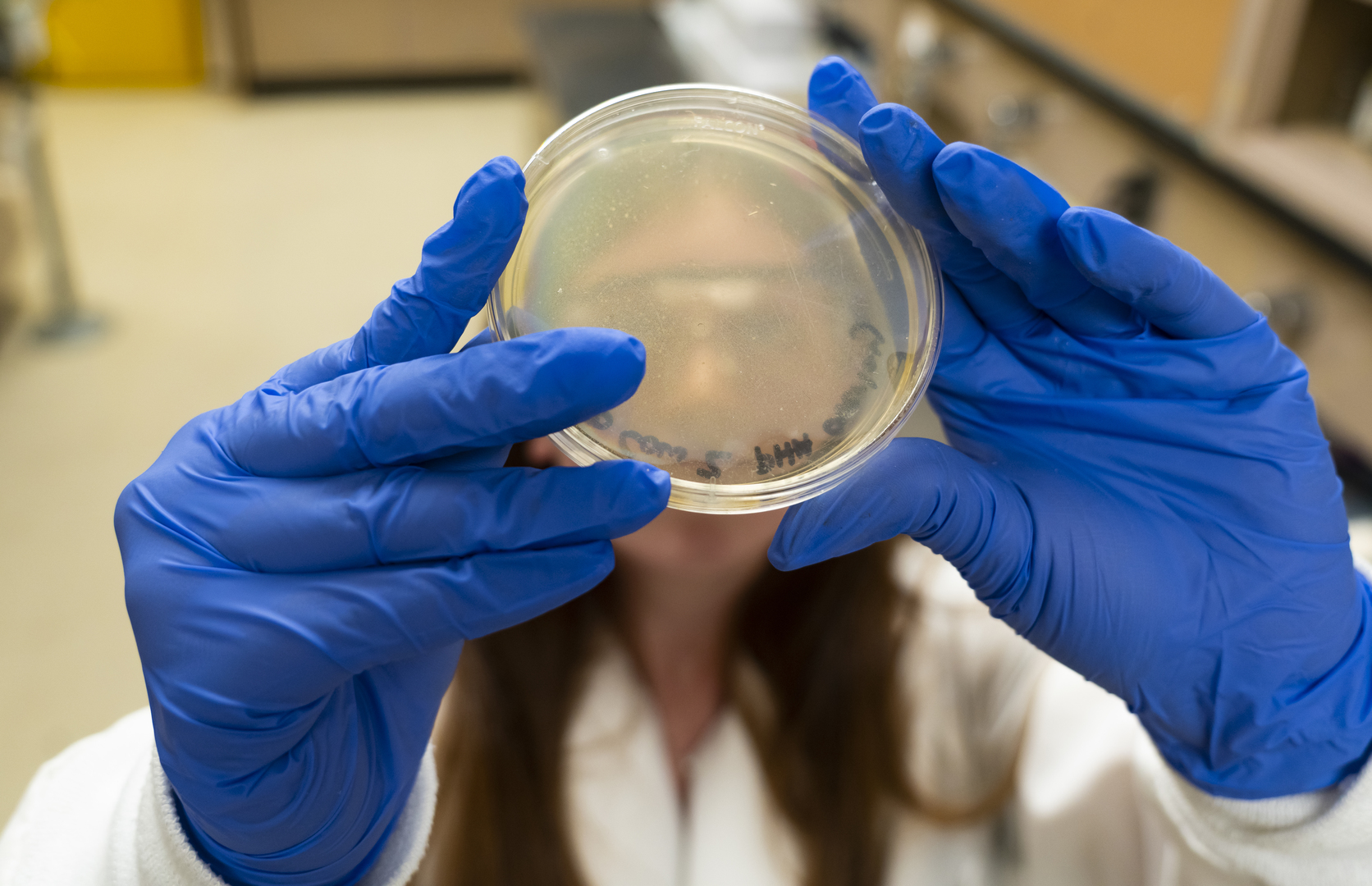 Bioplastic development means new way of sustainability on farms ...