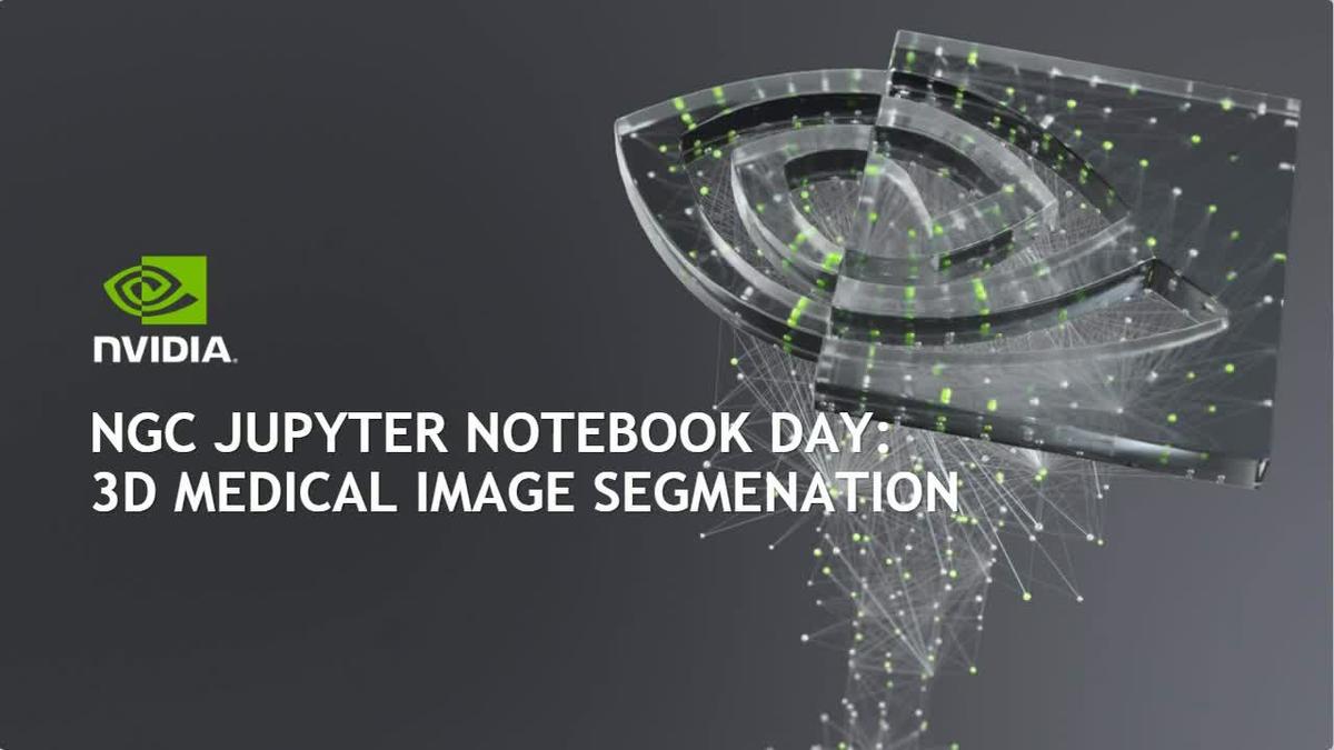 NVIDIA NGC Jupyter Notebook Day Medical Imaging Segmentation | NVIDIA ...