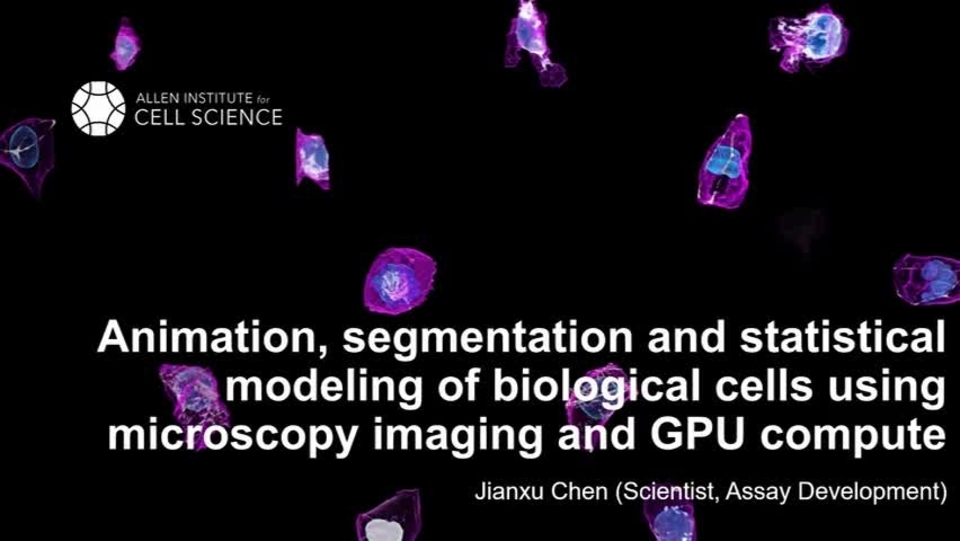 Animation, Segmentation, and Statistical Modeling of Biological Cells ...