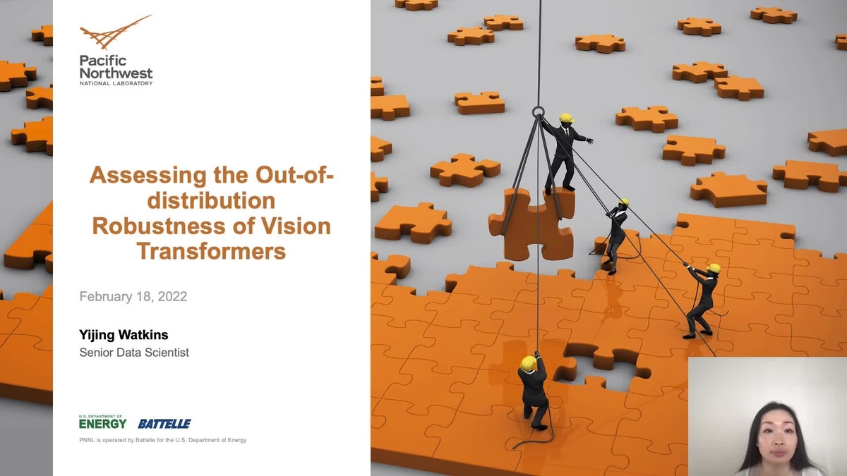 Assessing the Out-of-distribution Robustness of Vision Transformers ...