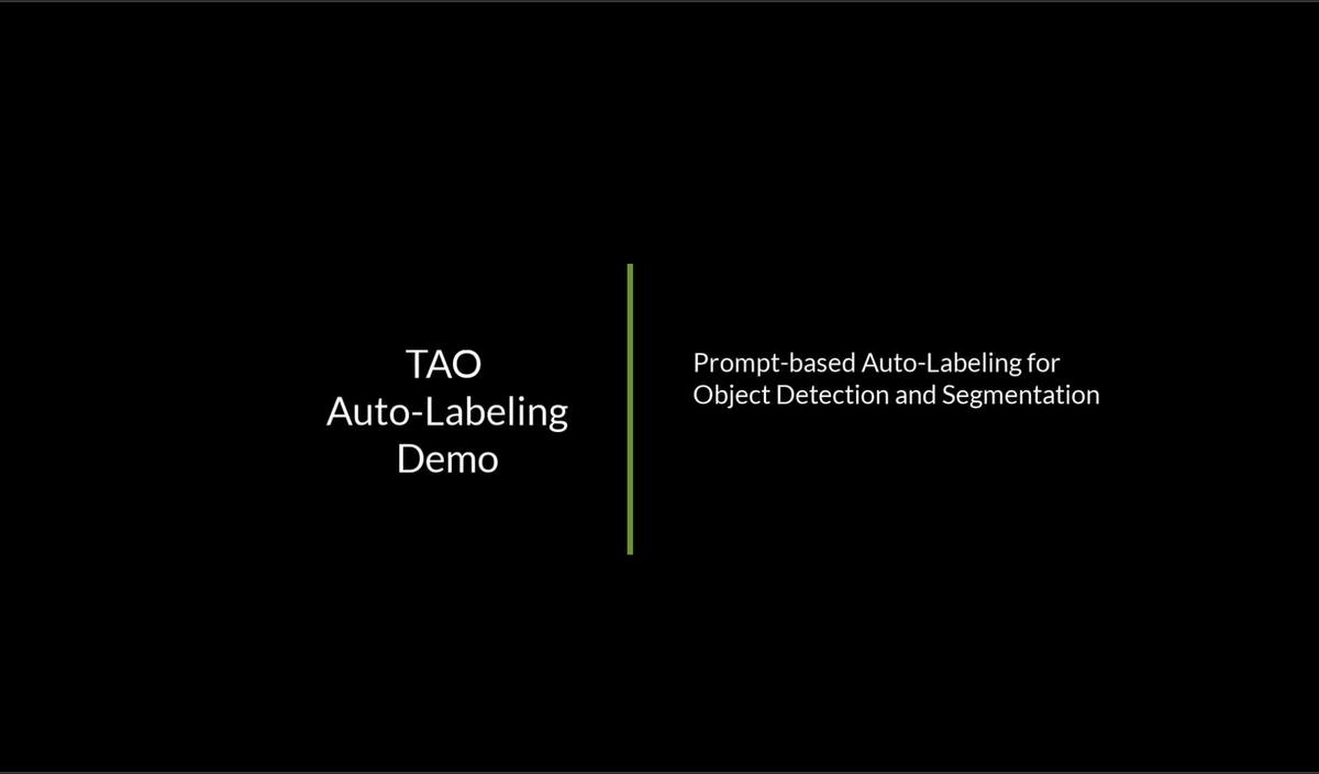 Use Text Prompts For Auto Labeling With Nvidia Tao Other 2024