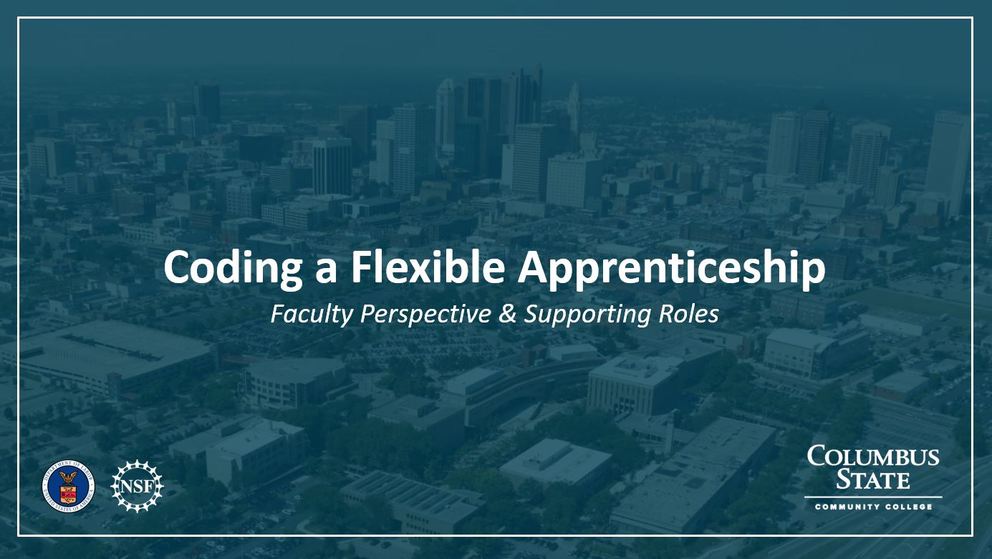 Coding a Flexible Apprenticeship: Faculty Perspective & Support ...