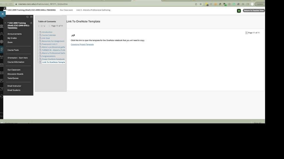 Capstone notebook - Copy Pages