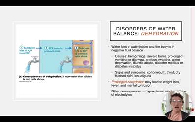 negative fluid balance example