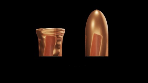 Matching Crime-Scene Bullets Segment by Segment | NIST
