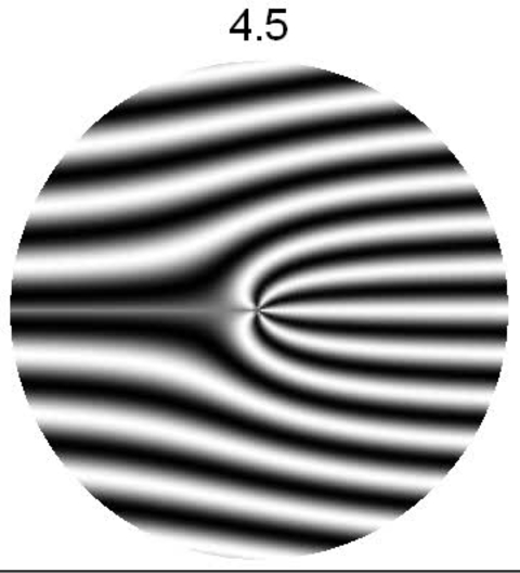 Neutron Holography 2 | NIST