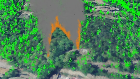 Fire Dynamics Simulator (FDS) Simulation of a Wildfire | NIST