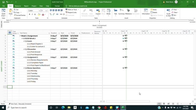Creating a Gantt Chart in Microsoft Project