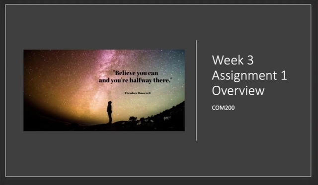 Week 3 Assignment 1 Overview COM200