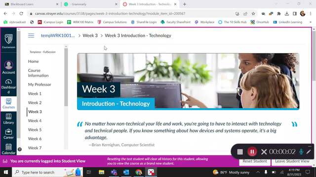 Week 3 Assignment Walk-through Video