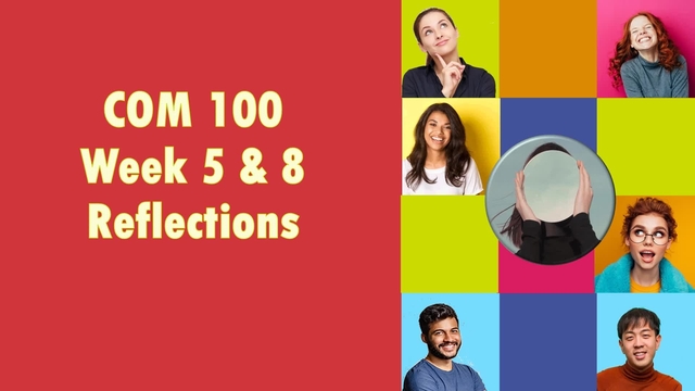 Week 5 and Week 8 Reflections